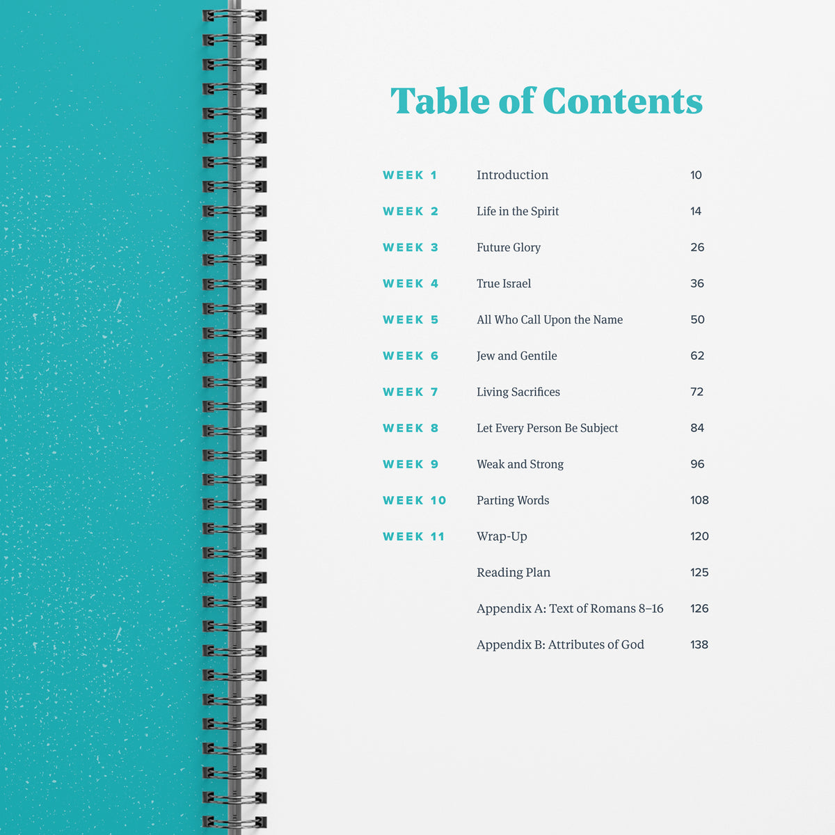 Romans Part 2 Bible Study Tvc Resources Store