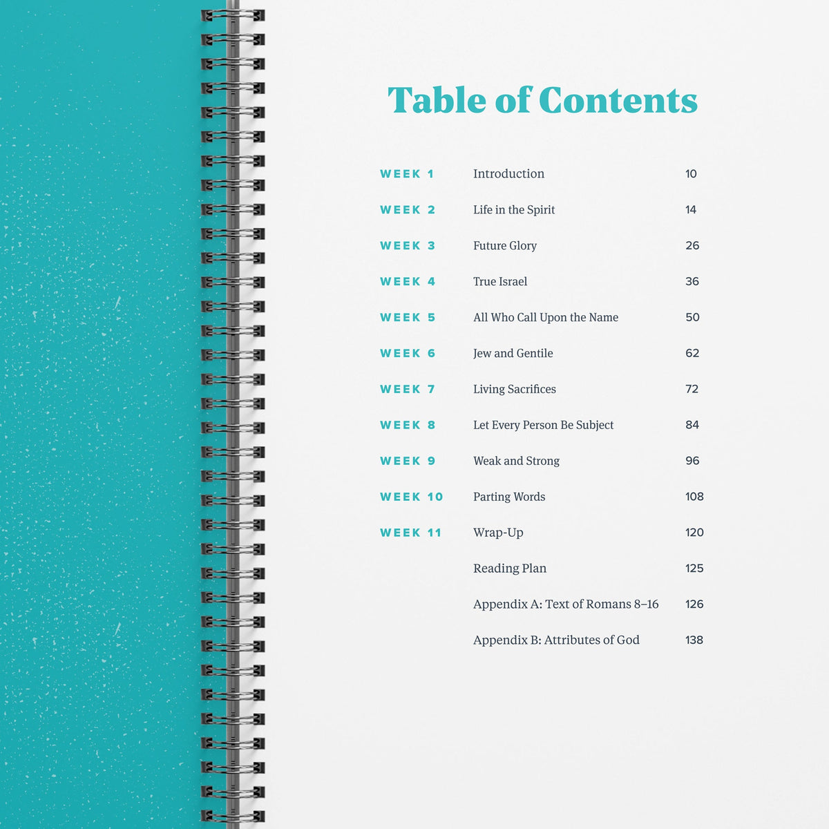 Case: Romans (Part 2) Bible Study – TVC Resources Store